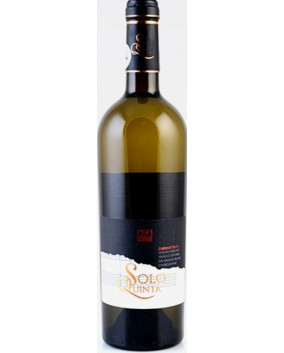 Solo Quinta 2023 | Cramele Recas | Recas